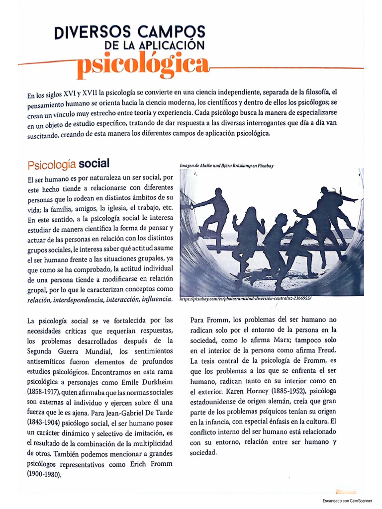 Diversos Campos de La Psicolog A | PDF