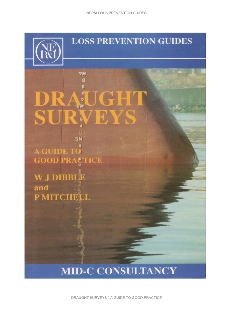 Draught Surveys | PDF