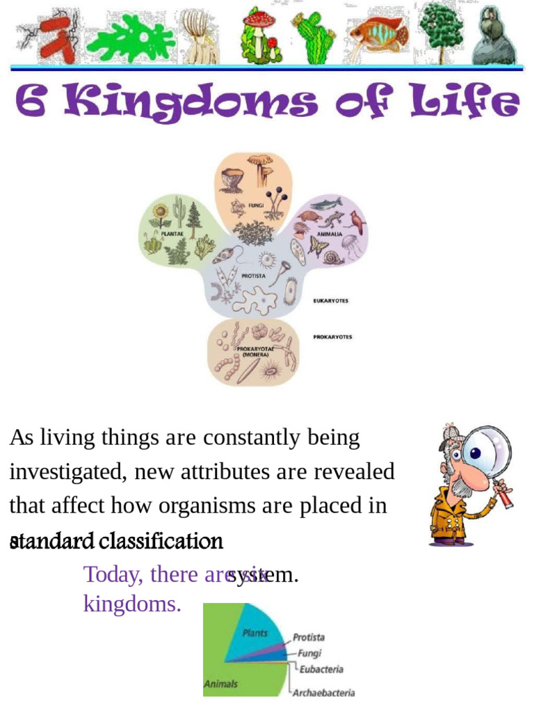The Kingdoms Presentation | PDF