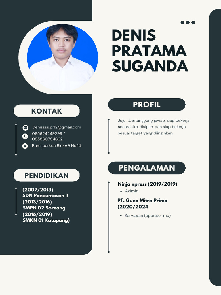 Cv Denis Pratama s | PDF