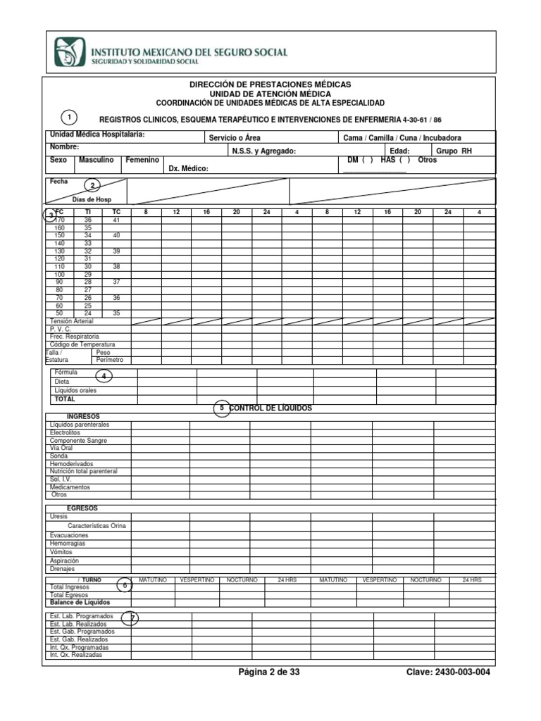 Formato Hoja Enfermeria IMSS | PDF