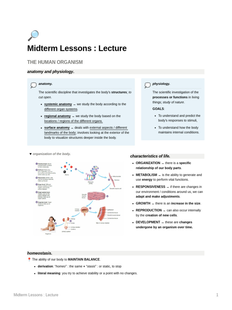 Midterm Lessons Anaphy Lecture UPDATED Long Exam Reviewer 9.11.22 | PDF