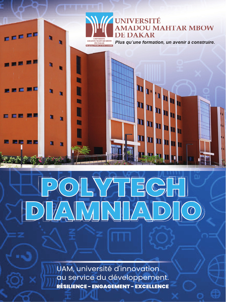 Brochure - Polytech Diamniadio - Juin2024 | PDF