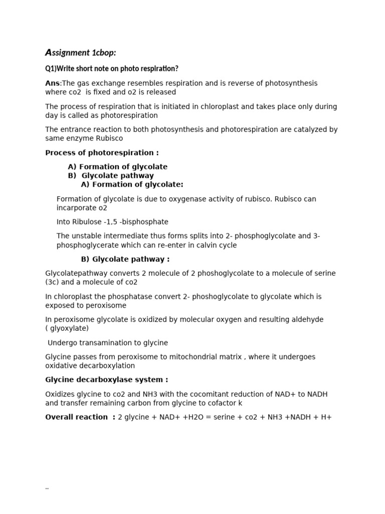 Cbop Photosynthesis | PDF