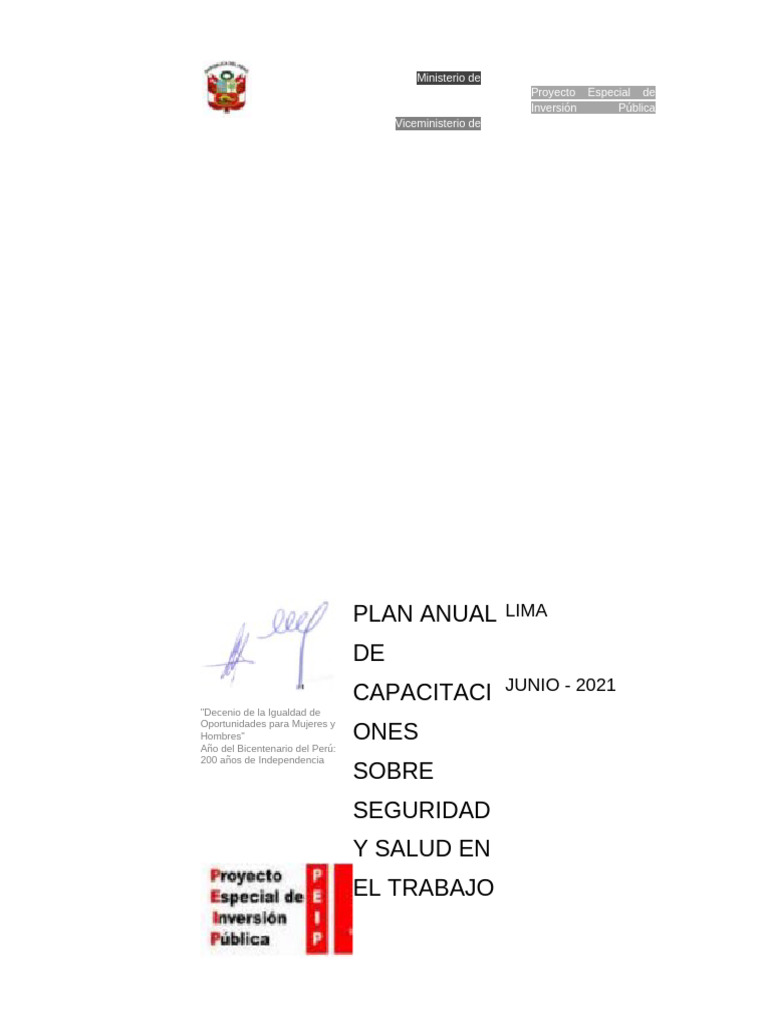 Plan Anual de Capacitaciones-Temas | PDF