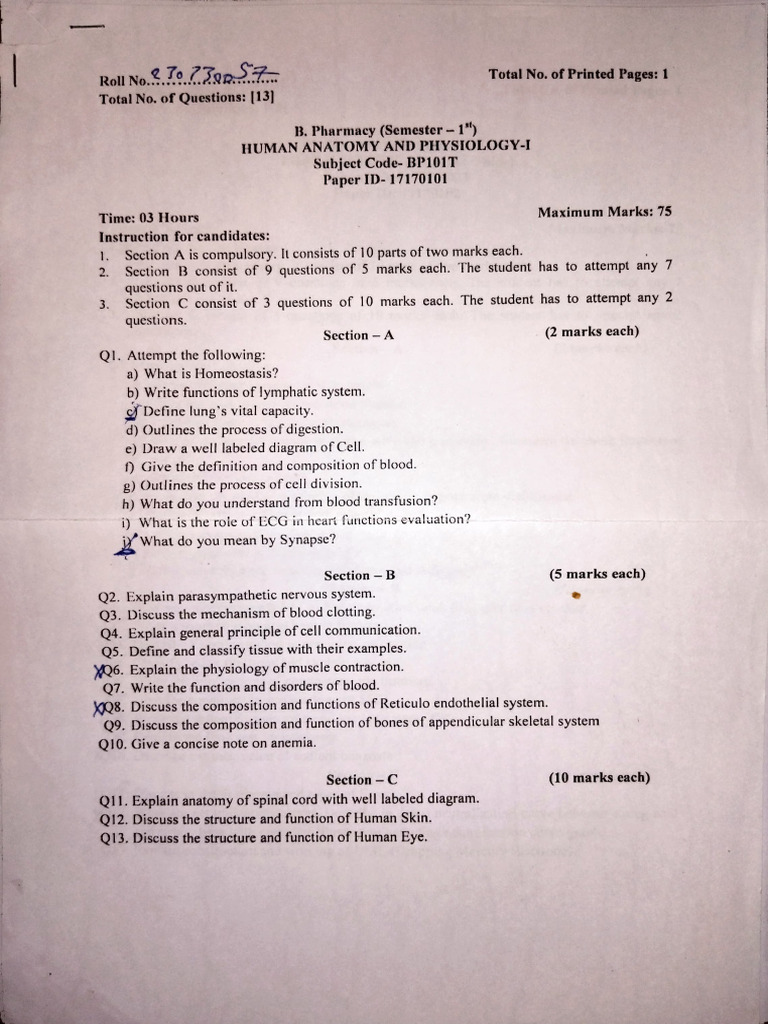 batch 2023 sem.01 | PDF