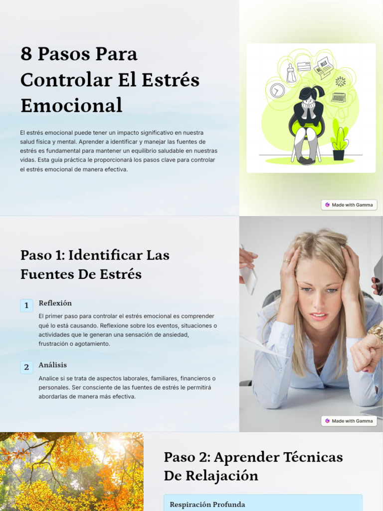 8 Pasos para Controlar El Estres Emocional | PDF