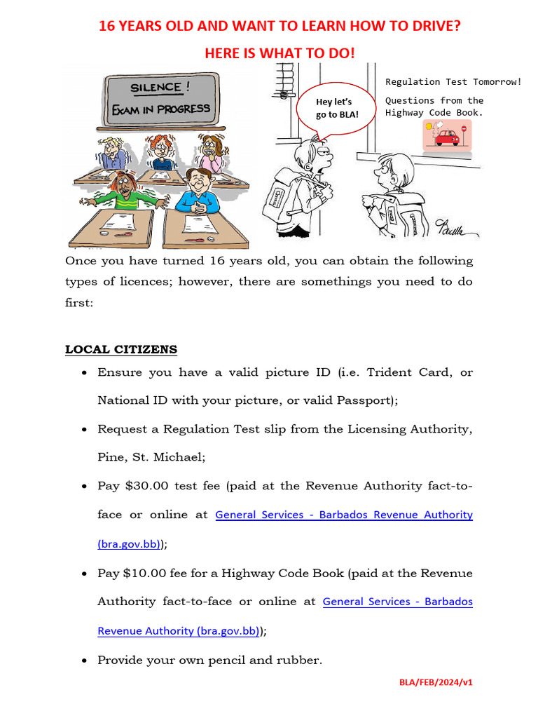 Regulation Test Process | PDF