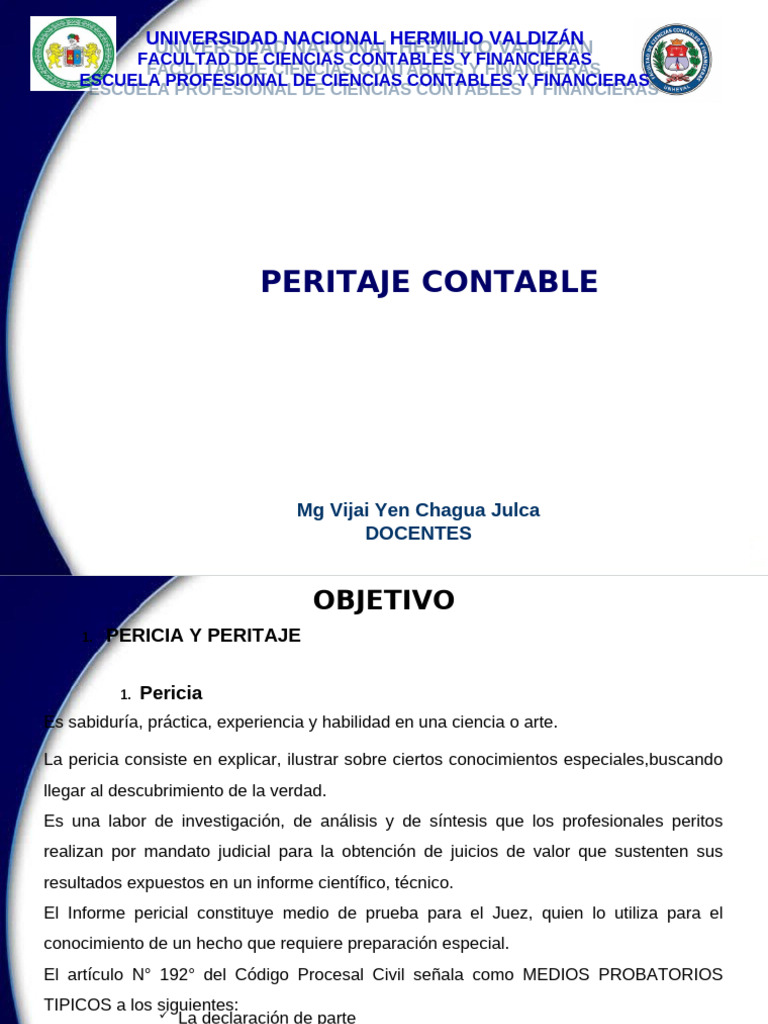 Clases N°1 Peritaje Contable | PDF