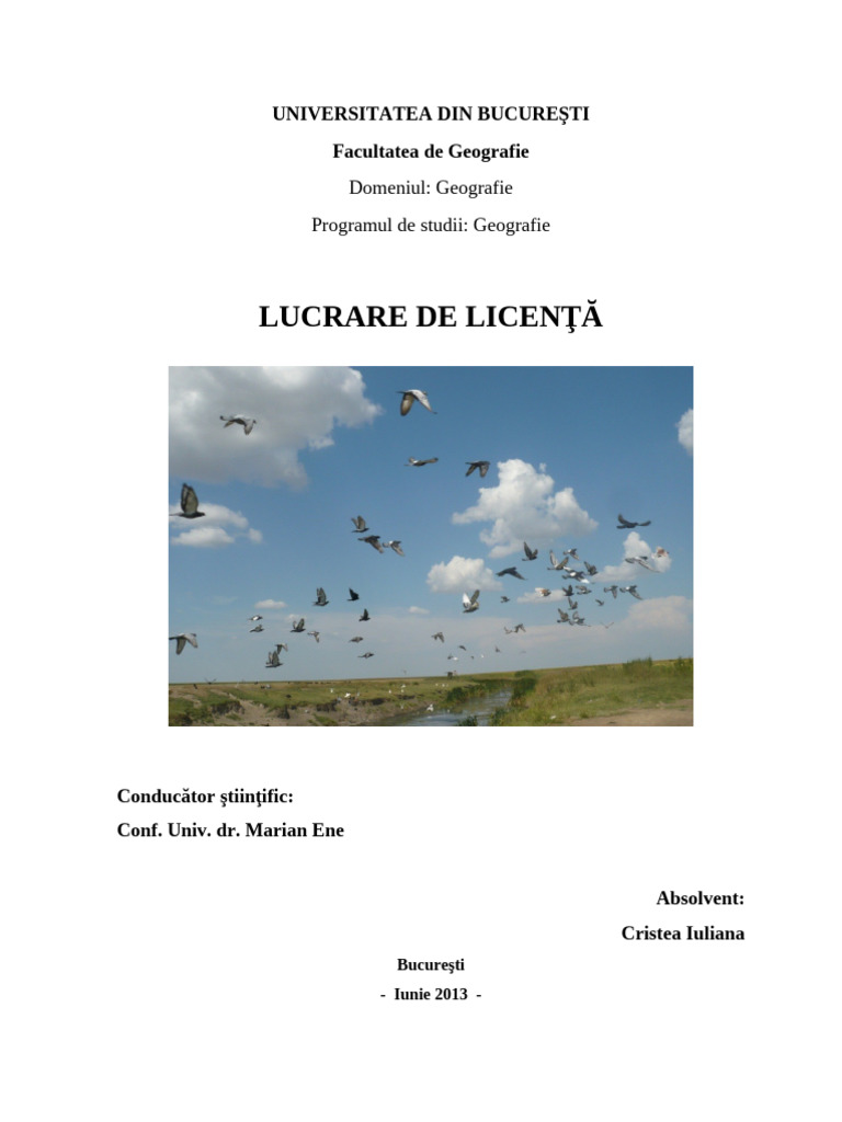 Licenta Cristea Iuliana | PDF
