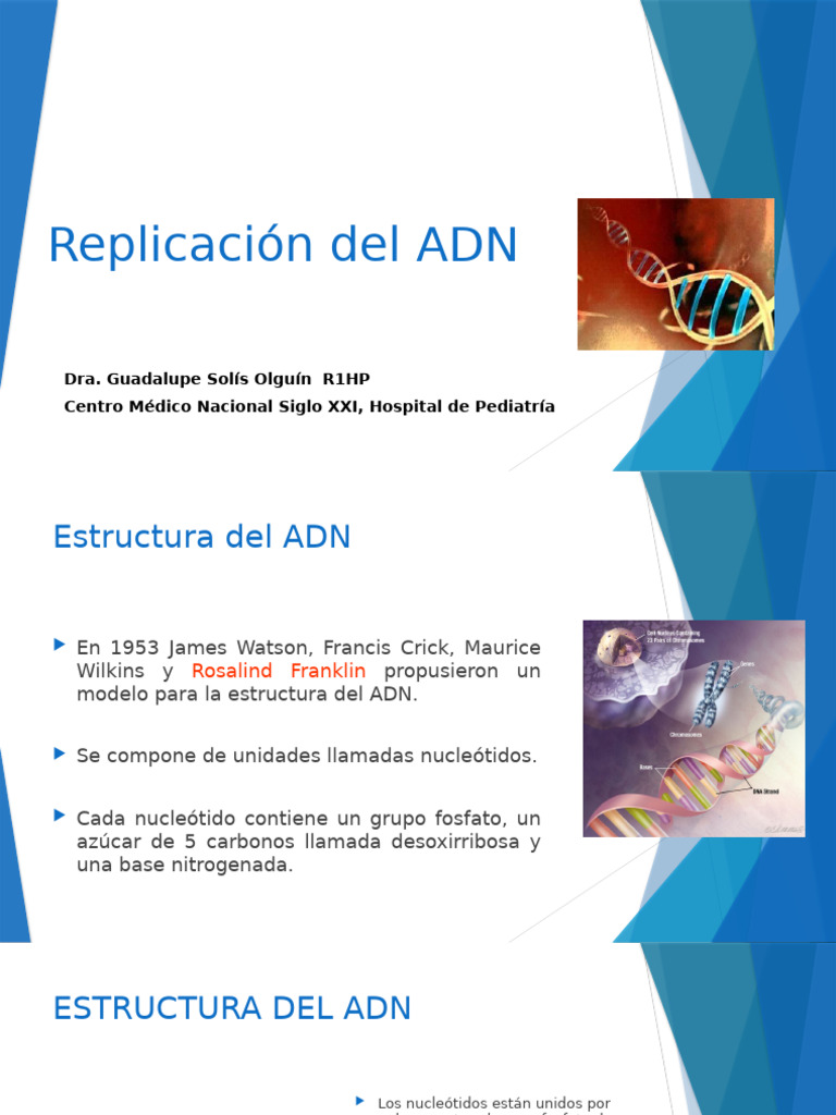 Replicación Del ADN 1 | PDF