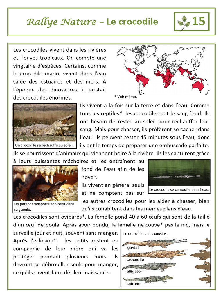Rallye Nature 15 Le Crocodile | PDF