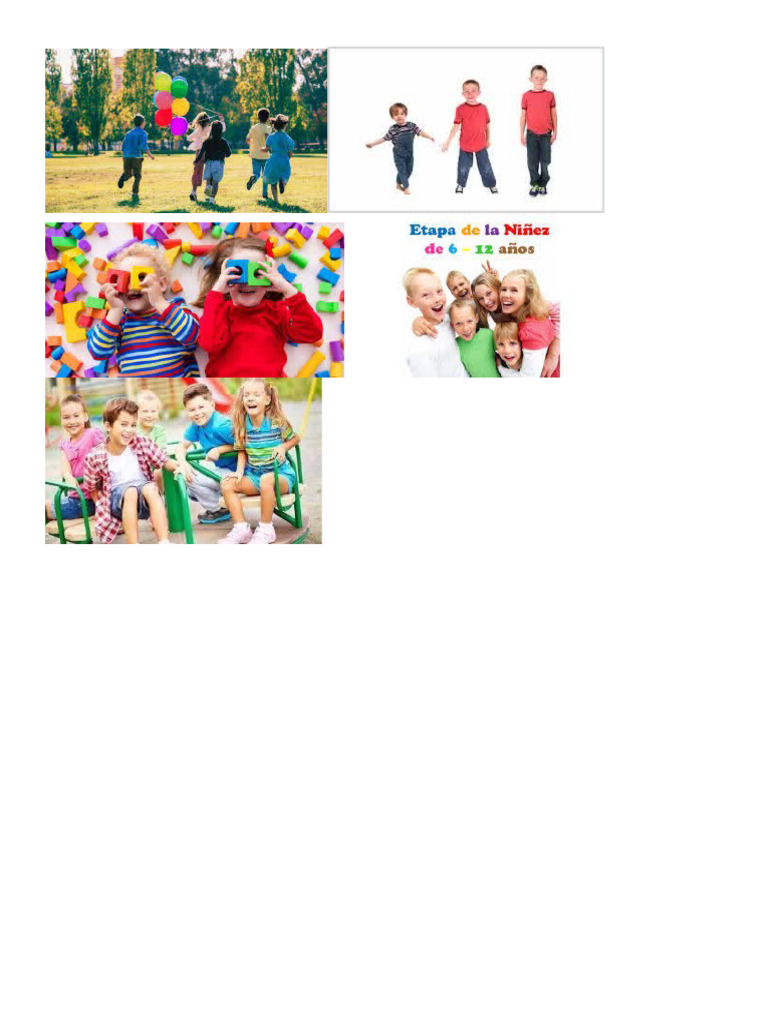 Etapas de La Vida | PDF