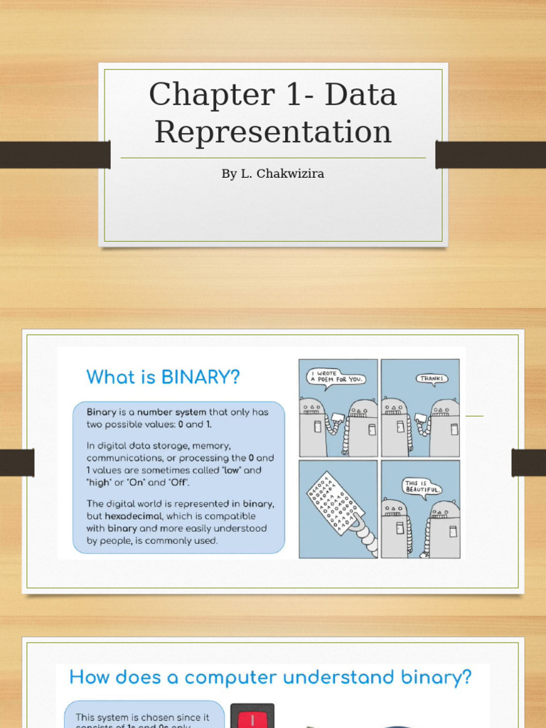 Chapter 1 Data Representation | PDF