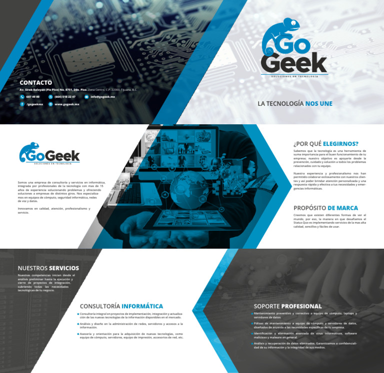 GoGeek Brochure 2022 | PDF