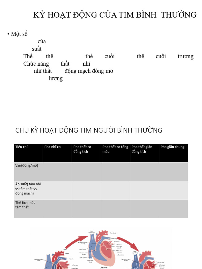 Chu K Ho T Đ NG C A Tim Bình Thư NG | PDF