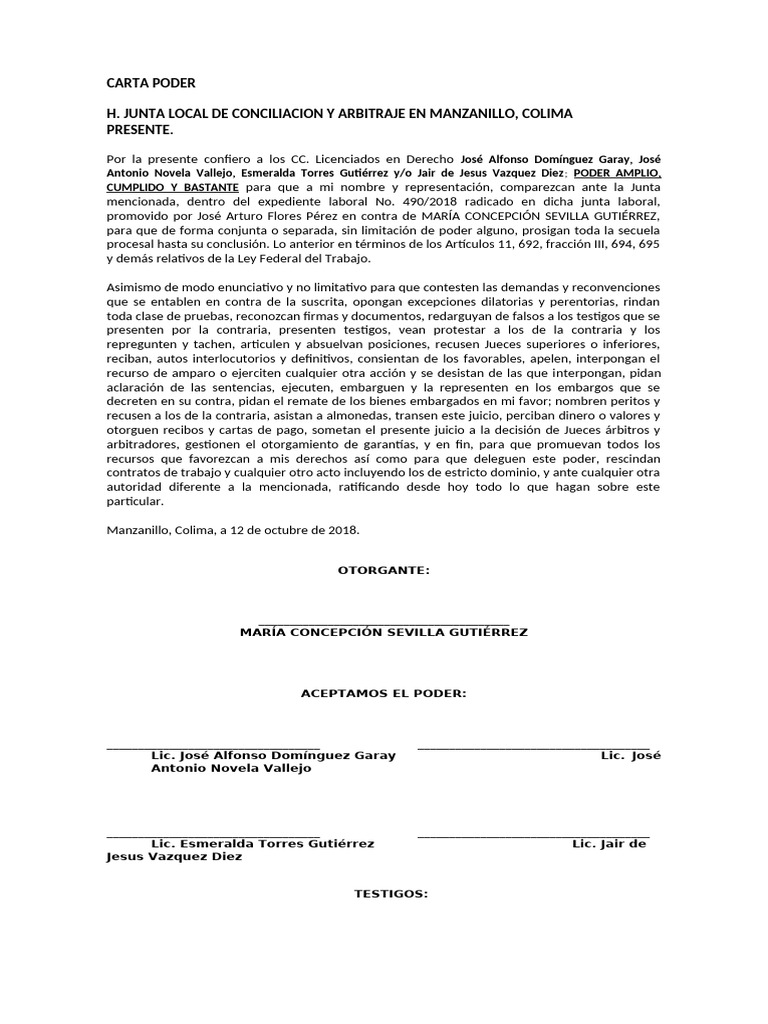 Carta Poder Laboral María Del Rosario Martínez Soto Pdf