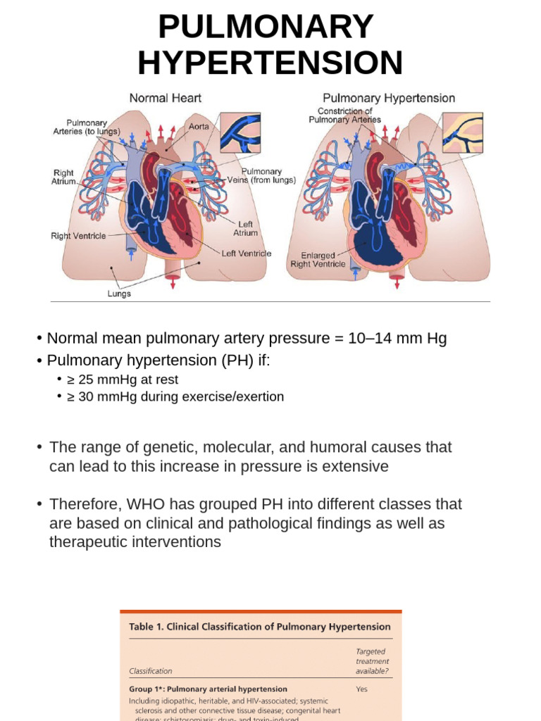 PULMONARY HYPERTENSION Powerpoint | PDF | Blood Vessel | Self-Improvement