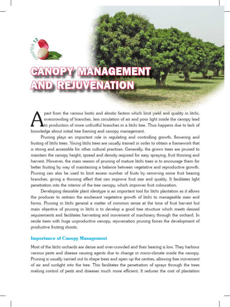 Canopy Management and Rejuvenation | PDF | Pruning | Trees