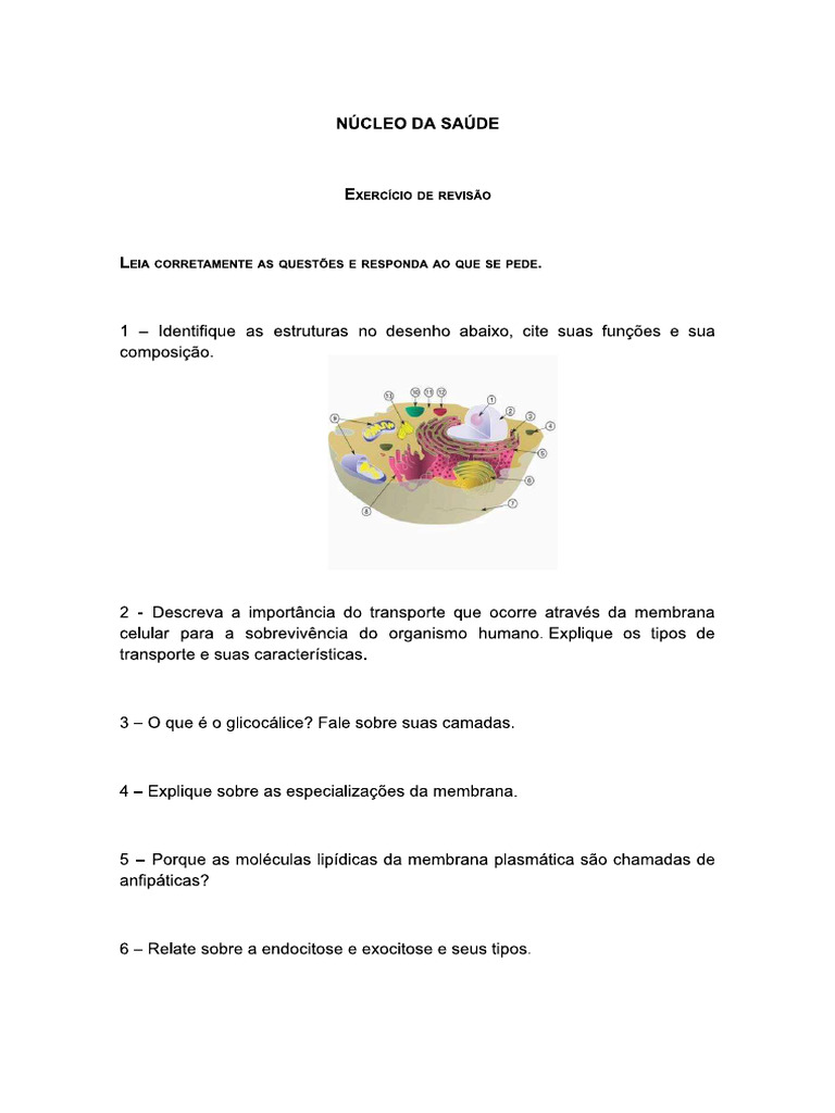 Cito | PDF