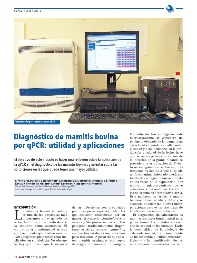 PCR Mastitis | PDF