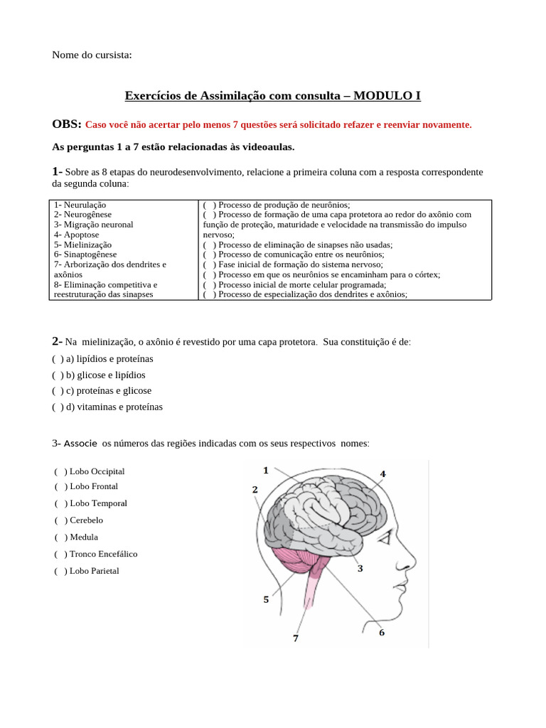 Atividade MÃ Dulo 1 | PDF | Neurônio | Córtex cerebral
