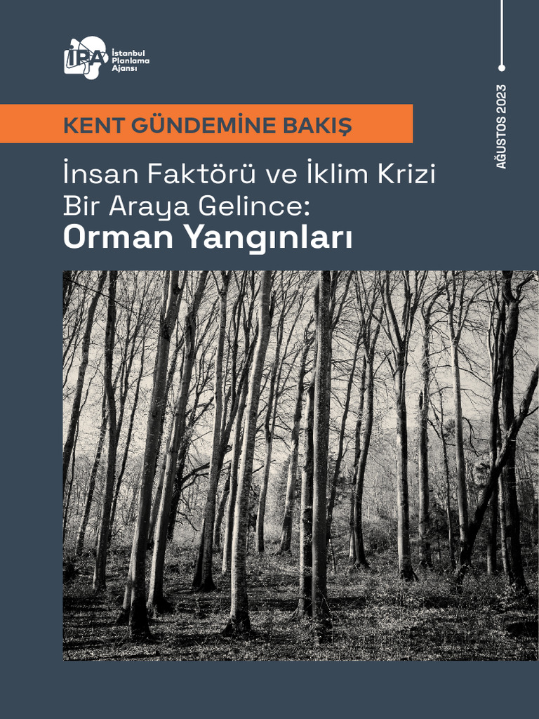 KENT-GUNDEMI-ORMAN-YANGINLARI-3 | PDF