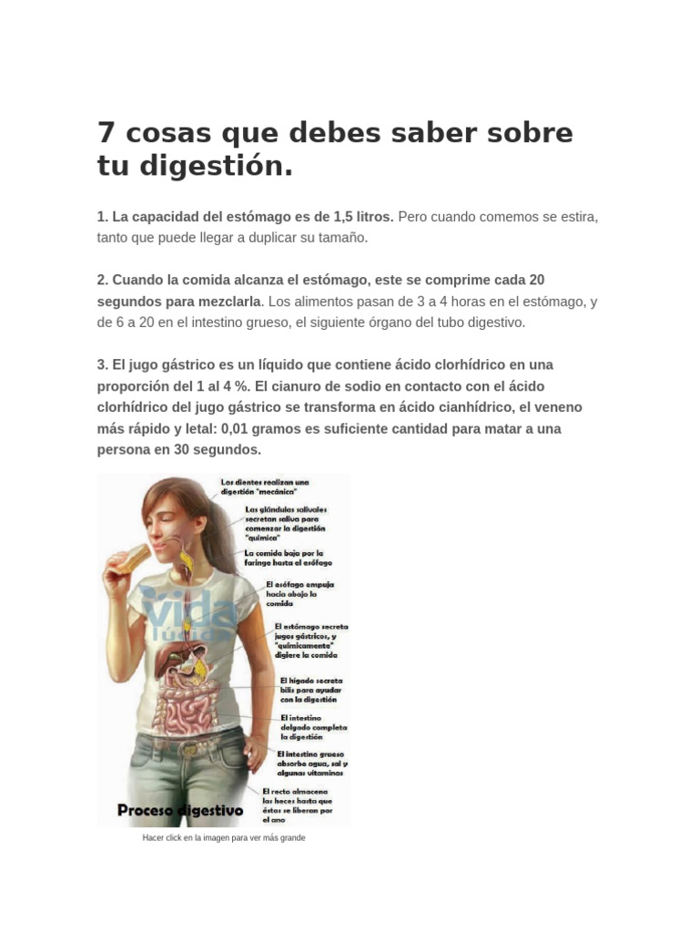 7 Cosas Que Debes Saber Sobre Tu Digestión | PDF