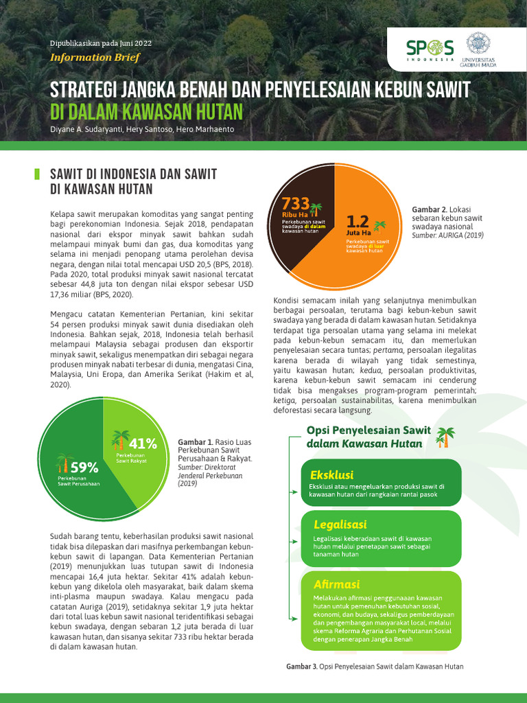 Information Brief - STRATEGI JANGKA BENAH DAN PENYELESAIAN KEBUN SAWIT ...