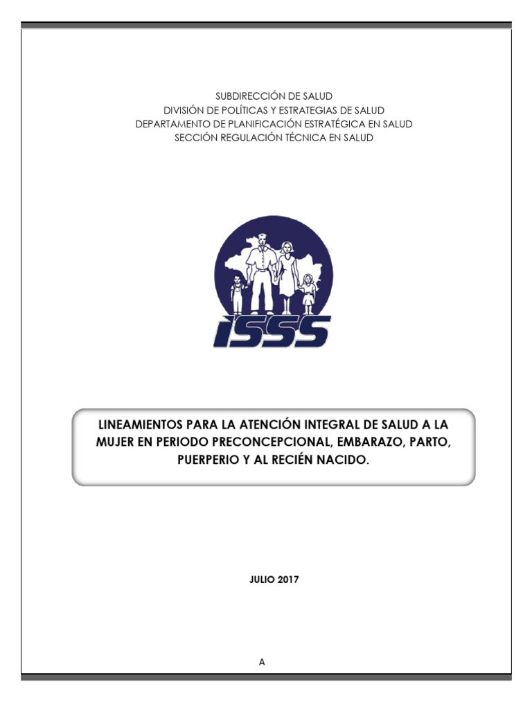 Lineamientos para La Atención Integral de Salud A La Mujer en Periodo Preconcepcional, Embarazo ...