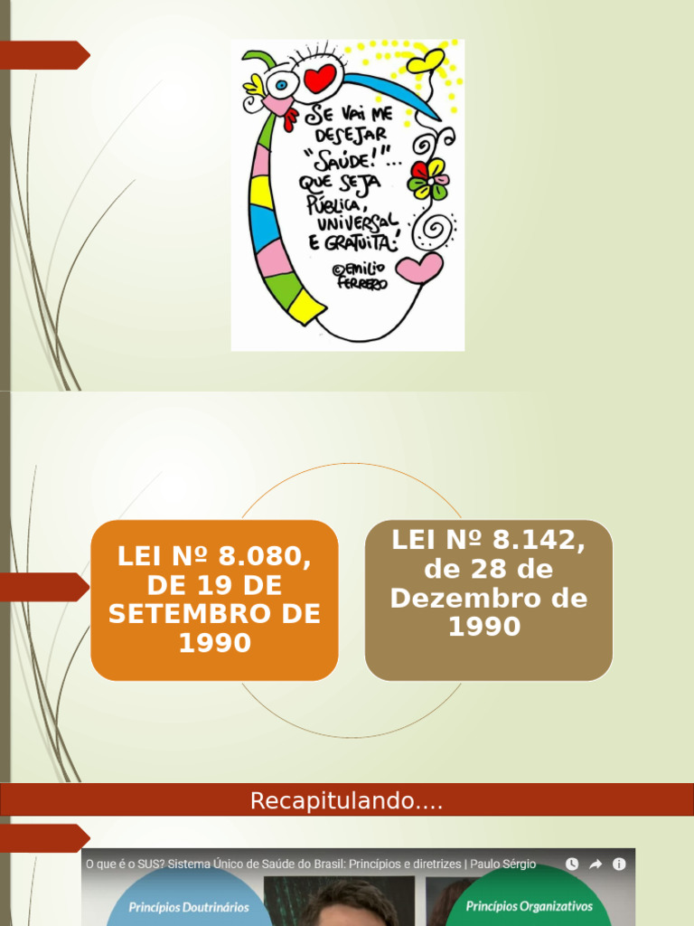 Lei 8080 | PDF