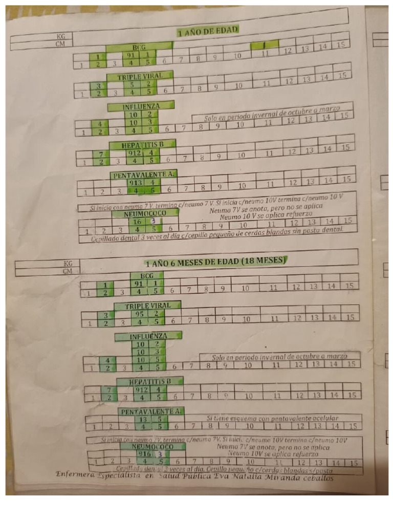 Tablas Hoja Rais | PDF