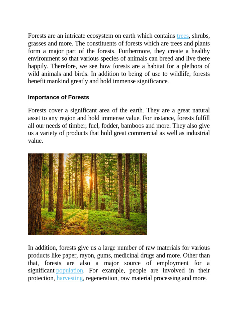 Forest | PDF