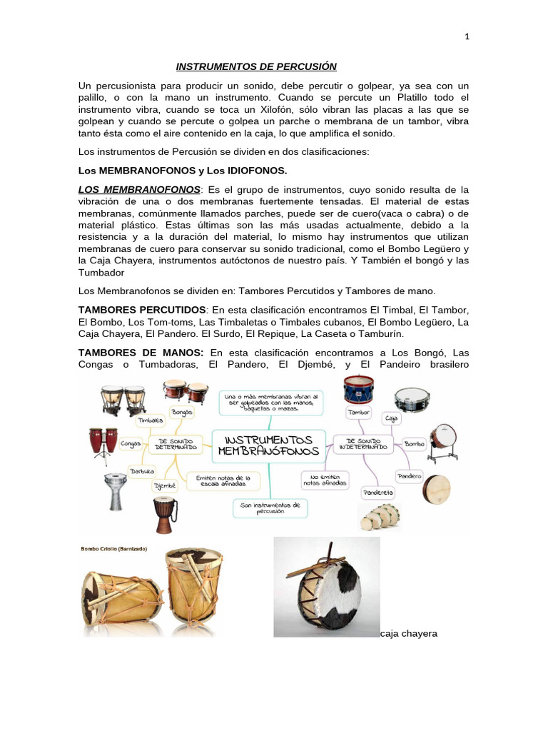 Instrumentos de Percusión | PDF