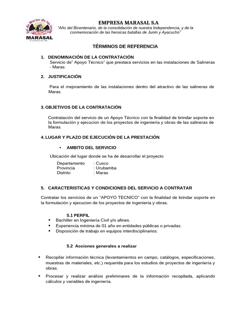TDR Servicio | PDF