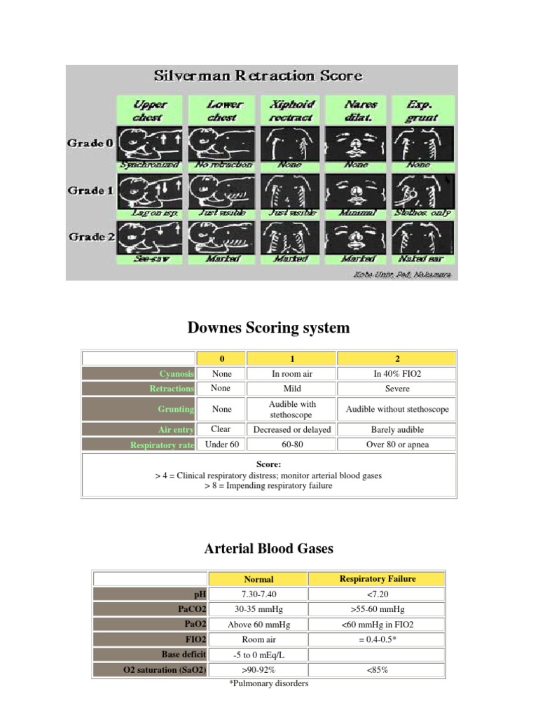 Downes Scoring System | PDF