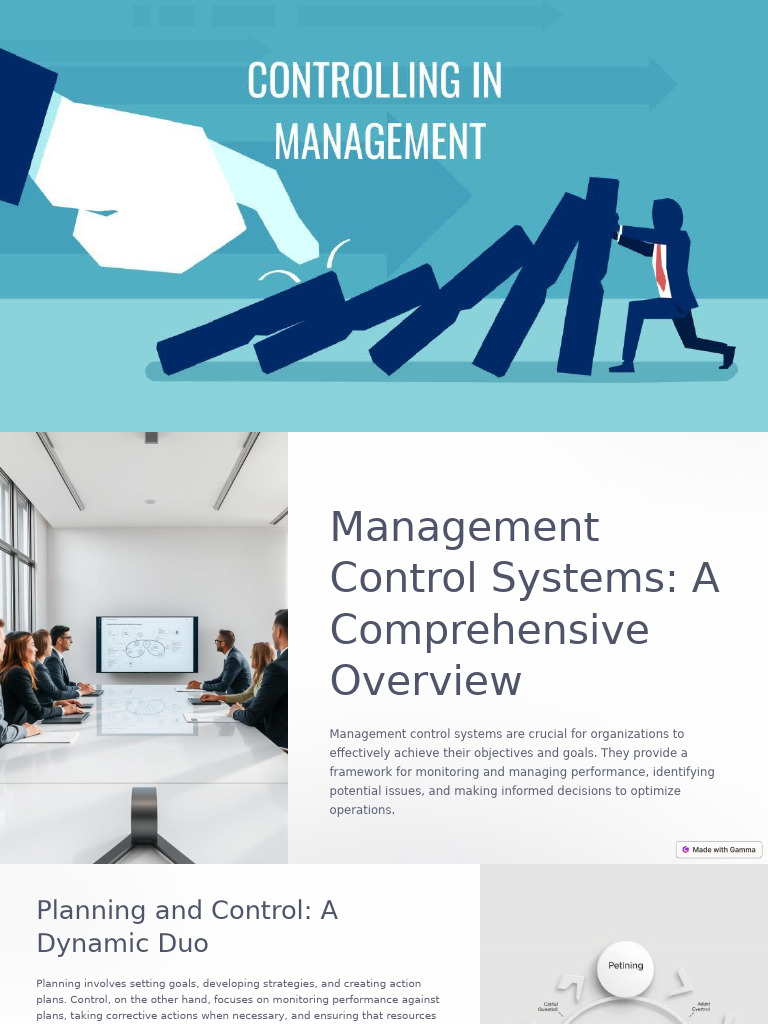 Management Control Systems A Comprehensive Overview | PDF