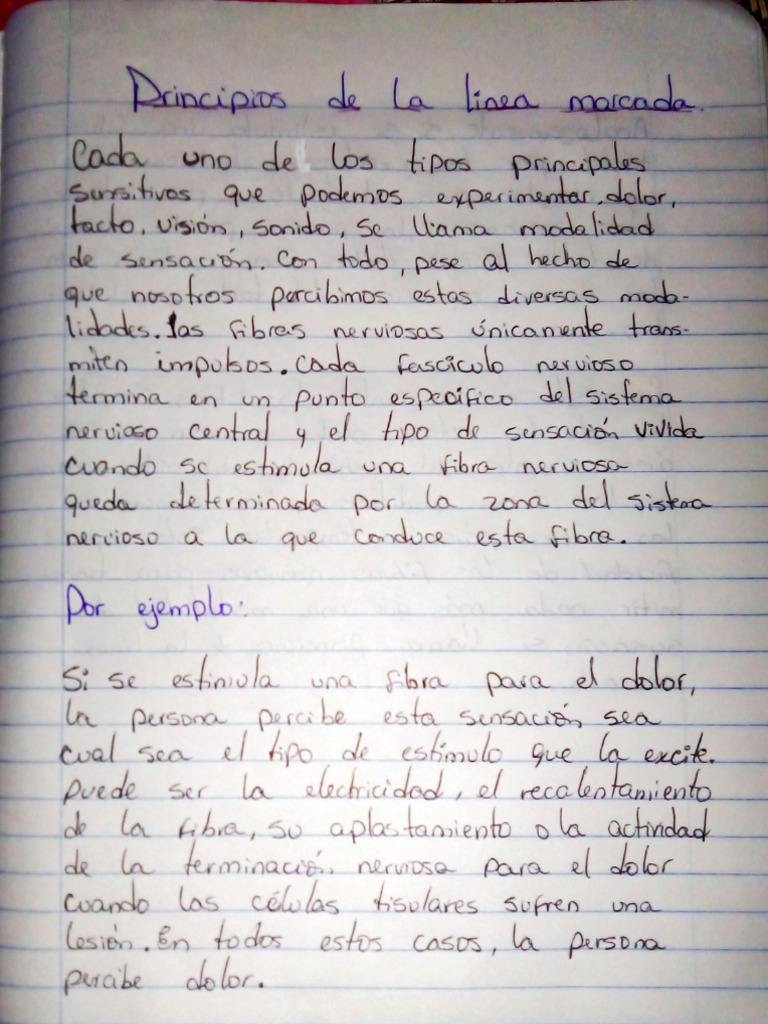 'Principios de La Línea Marcada' Con Usted | PDF