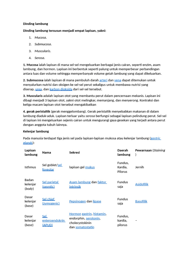 Dinding Lambung | PDF