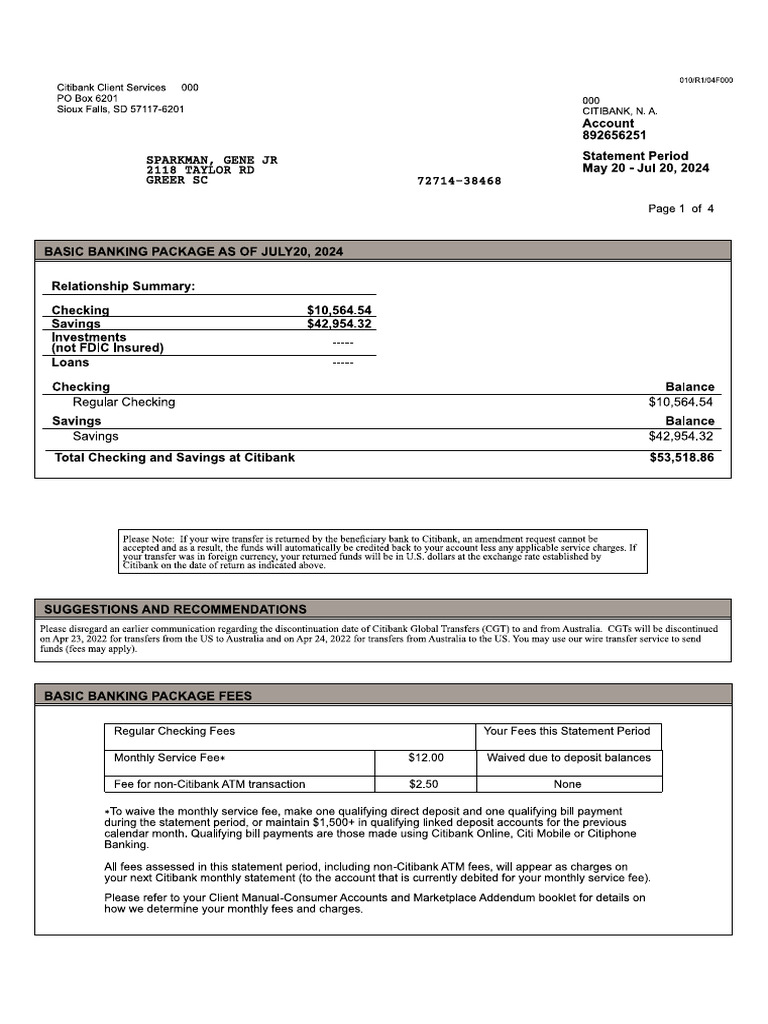 Citibank Statement | PDF