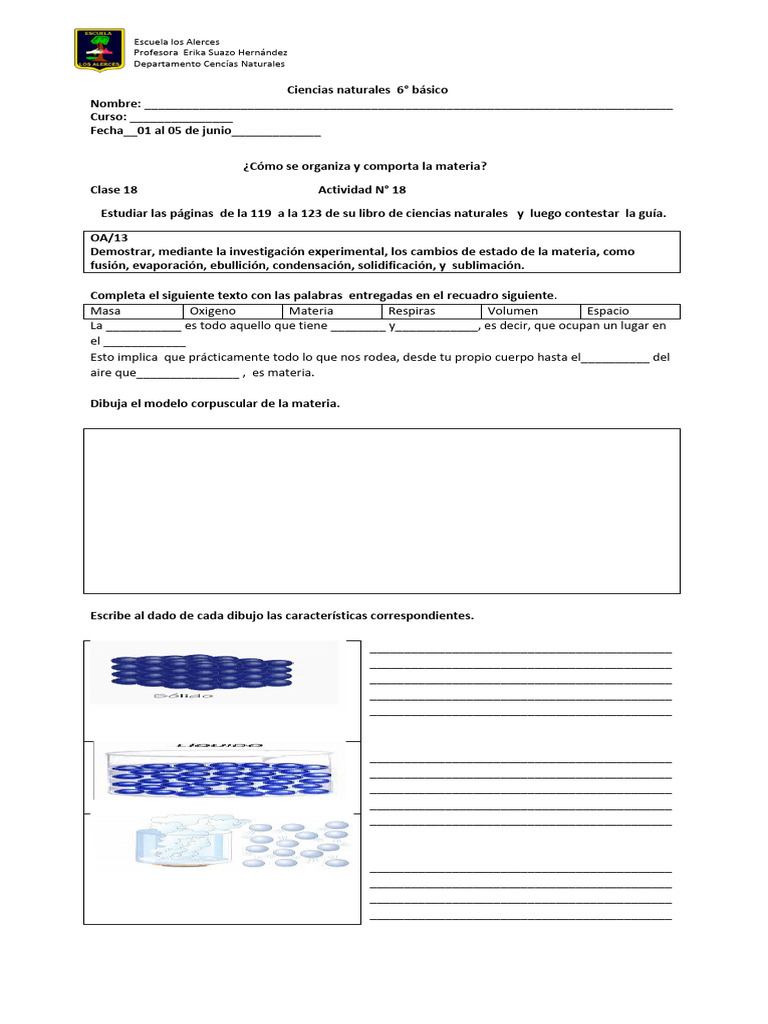 6º A B Ciencias Organizacíon y Comportamiento de La Materia | PDF