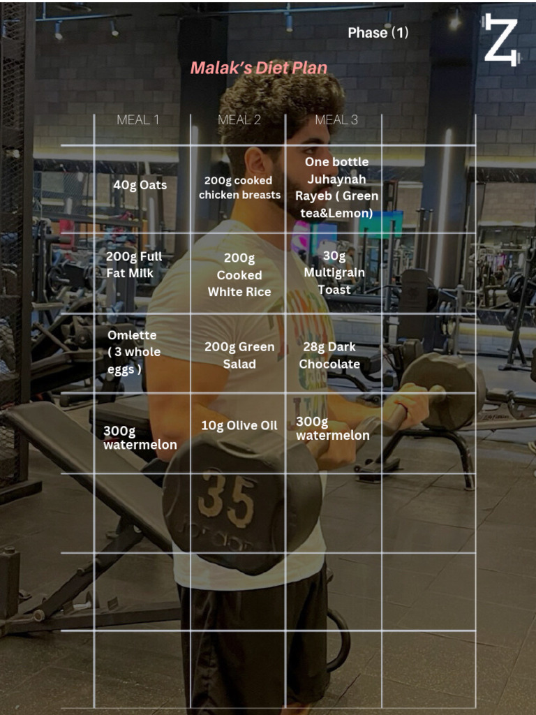 (Malak Omar) 'S Nutrition Plan Phase One | PDF