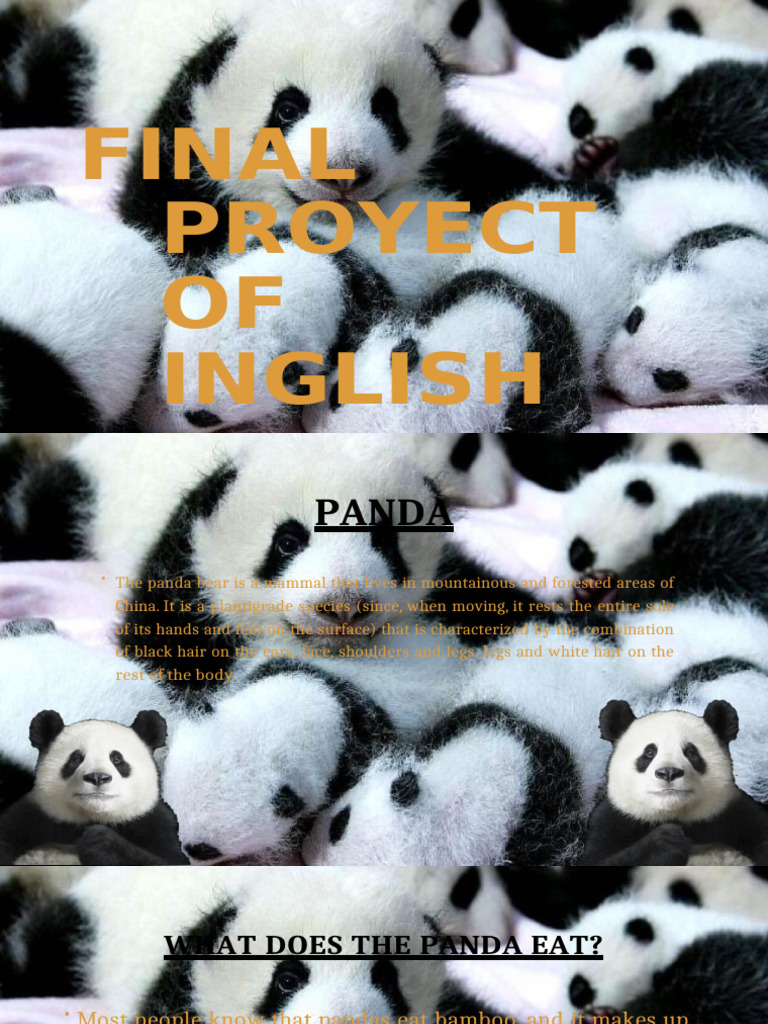 Final Proyect of Inglish | PDF