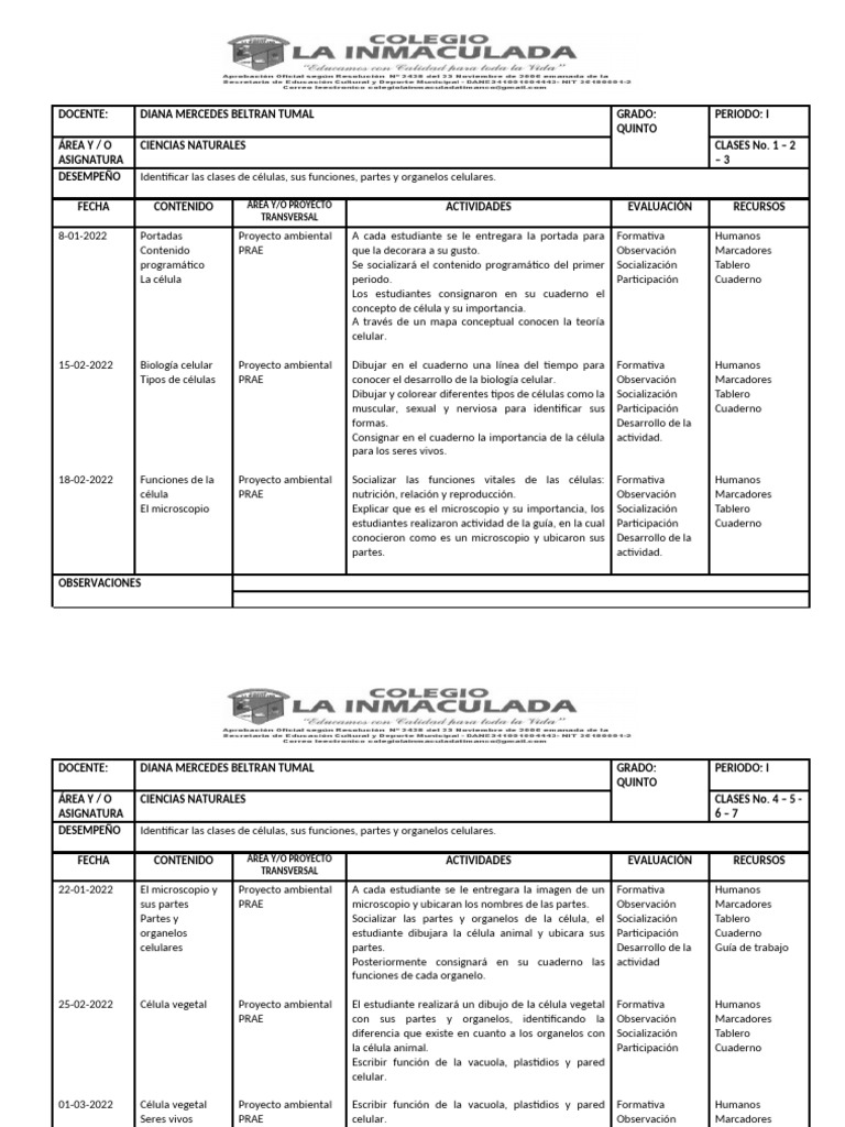 PLAN DE AULA GRADO QUINTO | PDF