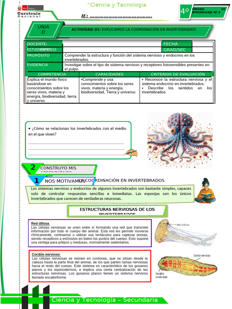 C-4º Act 5-Cyt-Und 4 | PDF