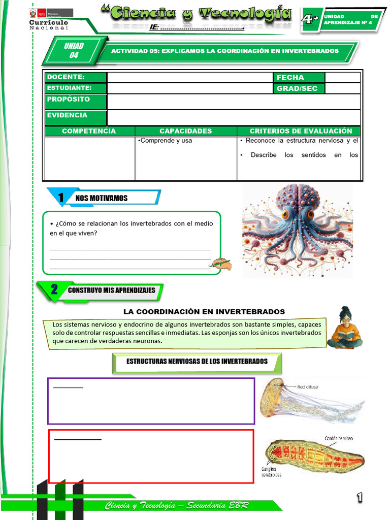 C-4º Act 5-Cyt-Und 4 | PDF