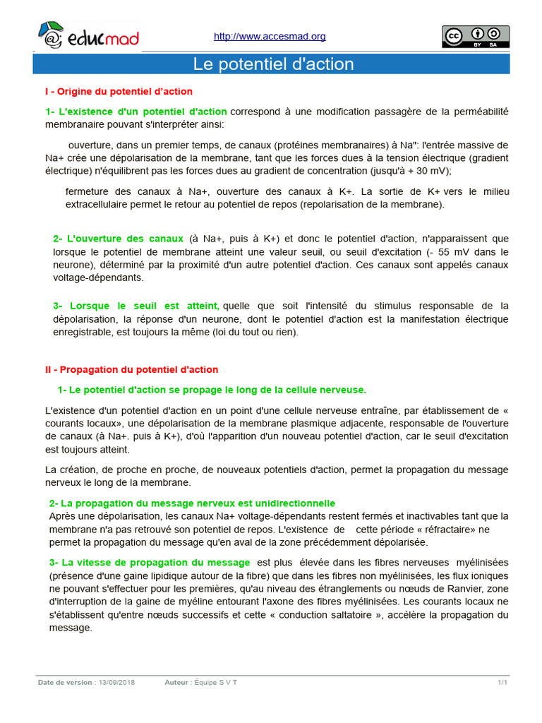 Le Potentiel Daction | PDF