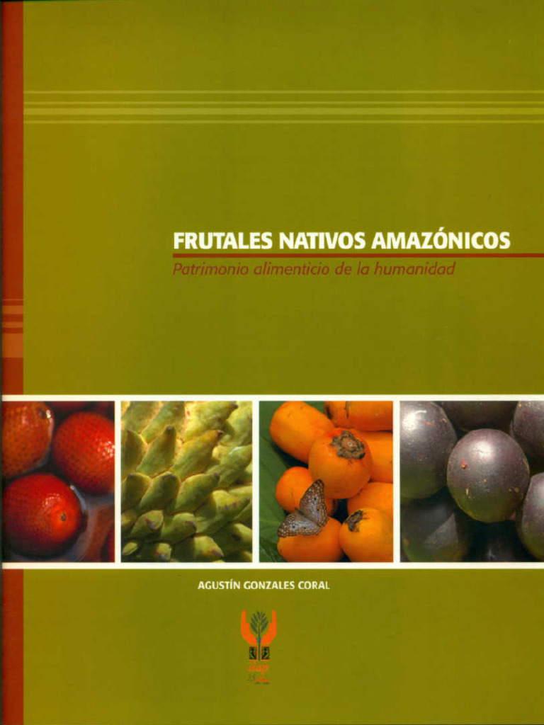 Gonzales Libro 2007 Pdf