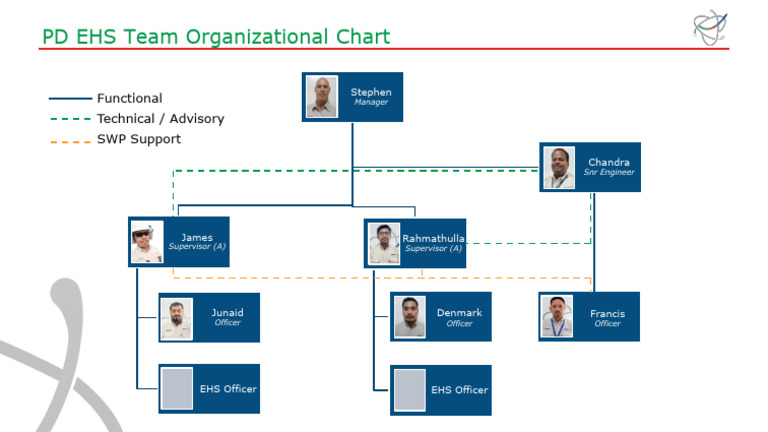 Project Delivery EHS Team Organisational Chart | PDF