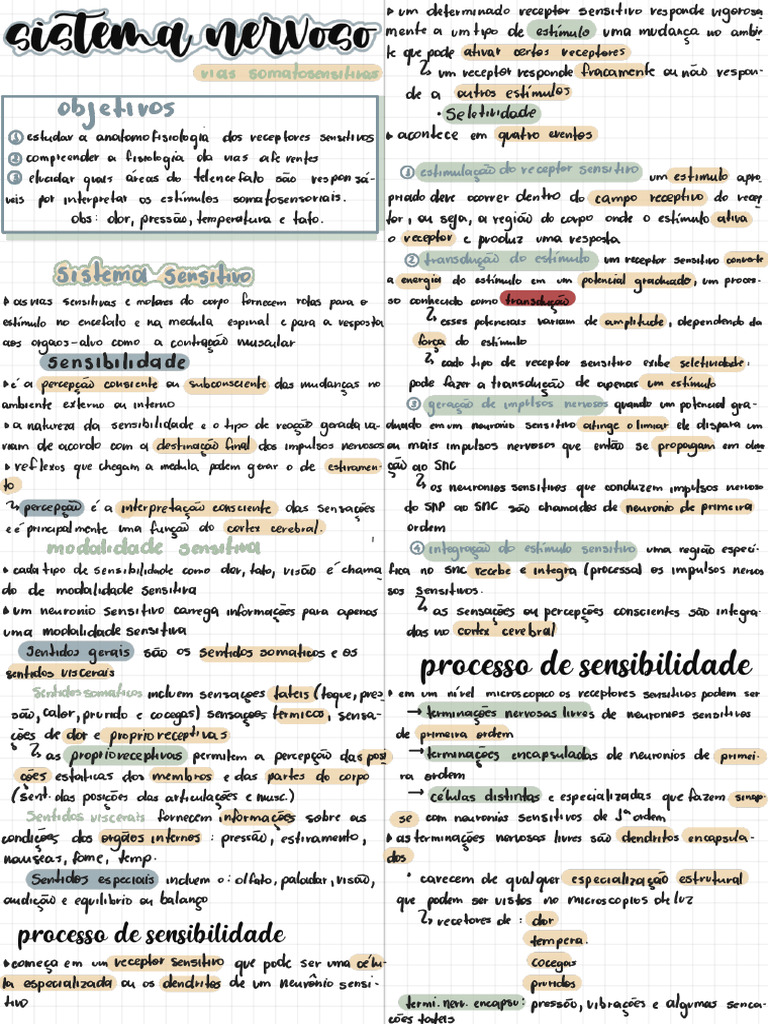 S2P2 apg 2 período | PDF